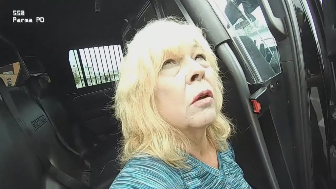 Former North Royalton Mayor Cathy Luks pleads guilty to multiple ...