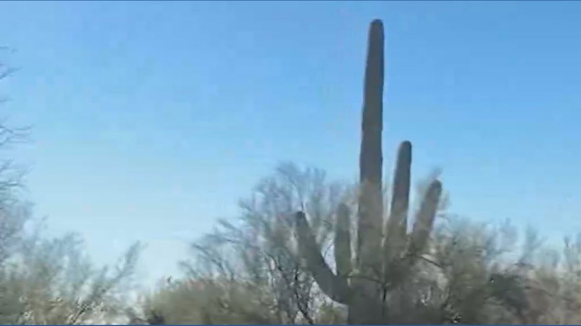 FBI combs desert terrain for clues in Nancy Guthrie’s disappearance ...