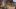 PHOTOS | Renderings of University Circle's plan to transform into ...