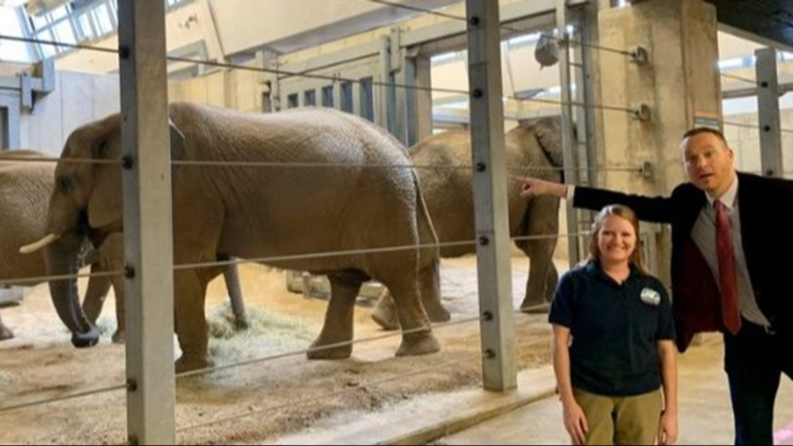 Mike Polk Jr. spends Valentine's Day at the Cleveland Metroparks Zoo ...