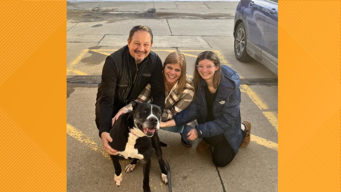 Baby the dog adopted into forever home in Northeast Ohio after years in ...