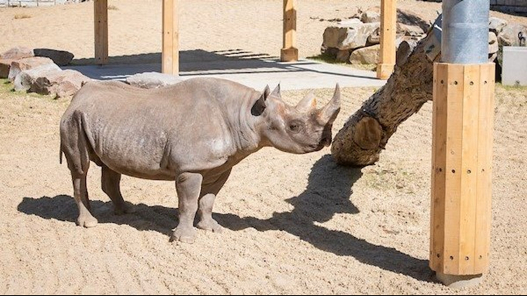 Cedar Point News | wkyc.com