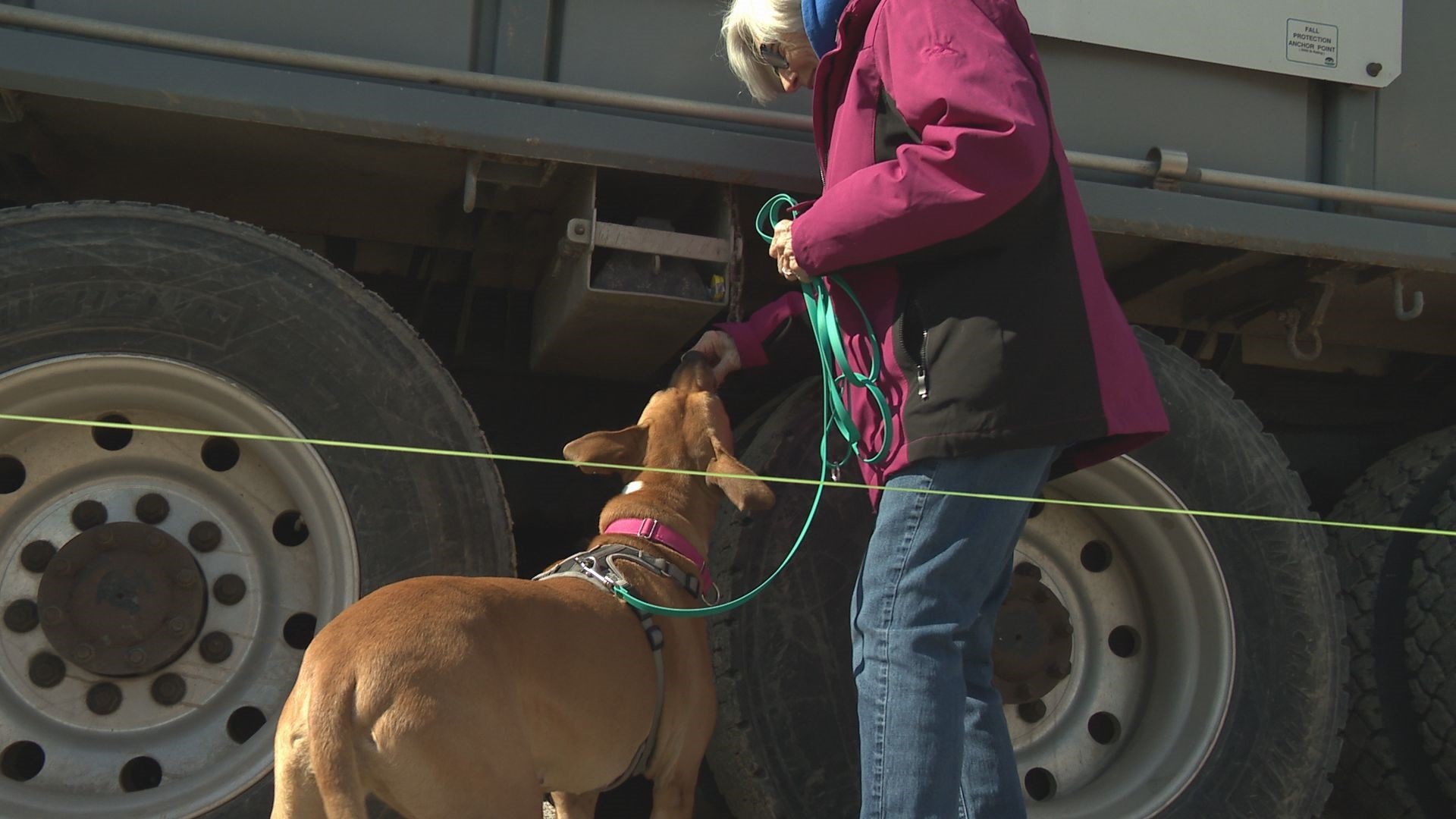 Ready Pet GO! takes on scent training for your four legged friend ...