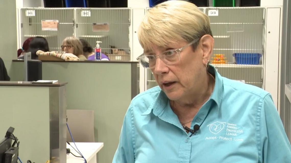 Sharon Harvey, Cleveland APL president and CEO, to retire at the end of ...