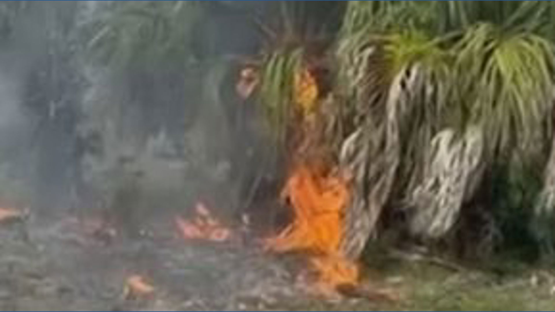 Crews battle fast-moving brush fire in Miami-Dade, Florida | wkyc.com