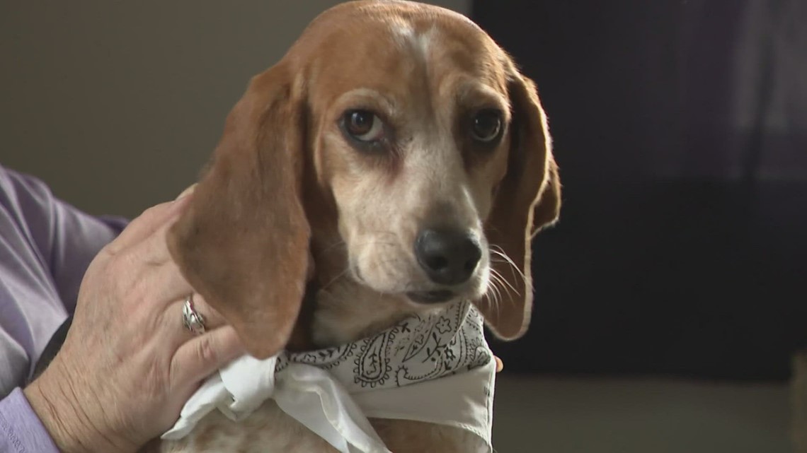 Ecuador girl receives prosthetic arm built by CMSD students | wkyc.com