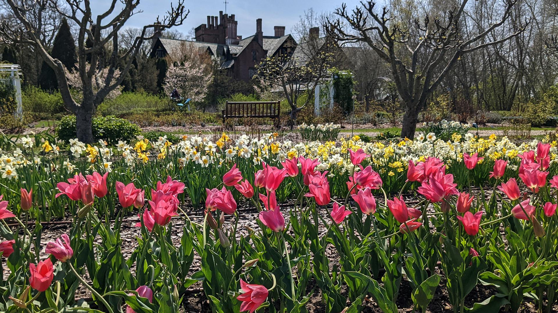 Akron's Stan Hywet Hall & Gardens opens for season on April 1 | wkyc.com