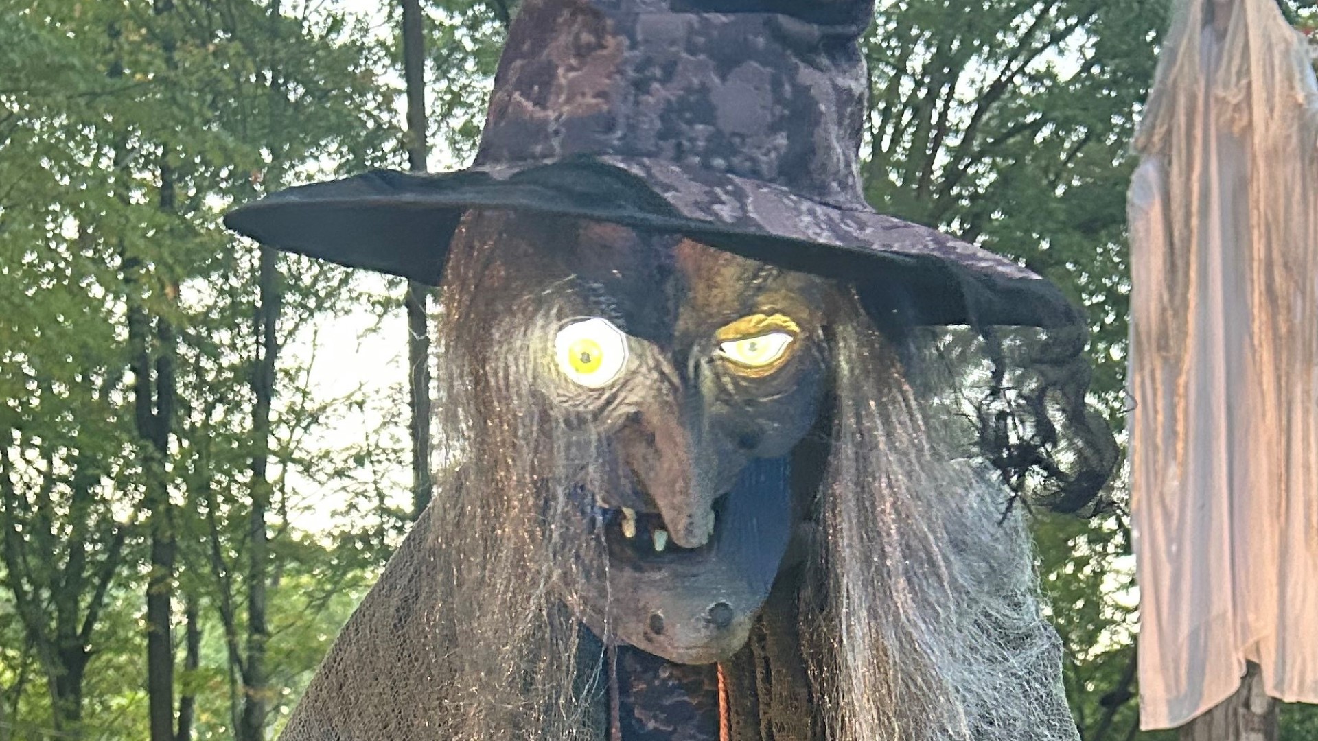 Where to see the best Halloween decorations in Northeast Ohio | wkyc.com