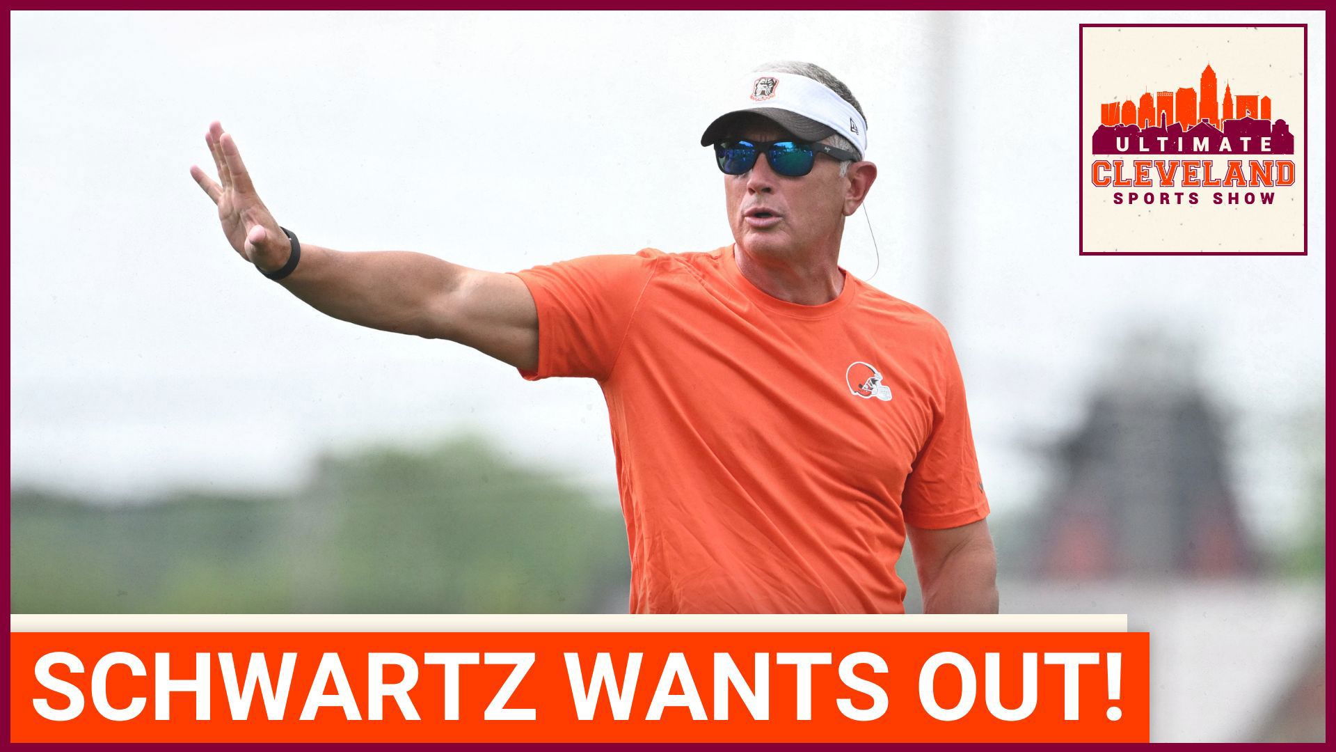 REPORT: Jim Schwartz not returning to Browns staff; upset he was passed ...