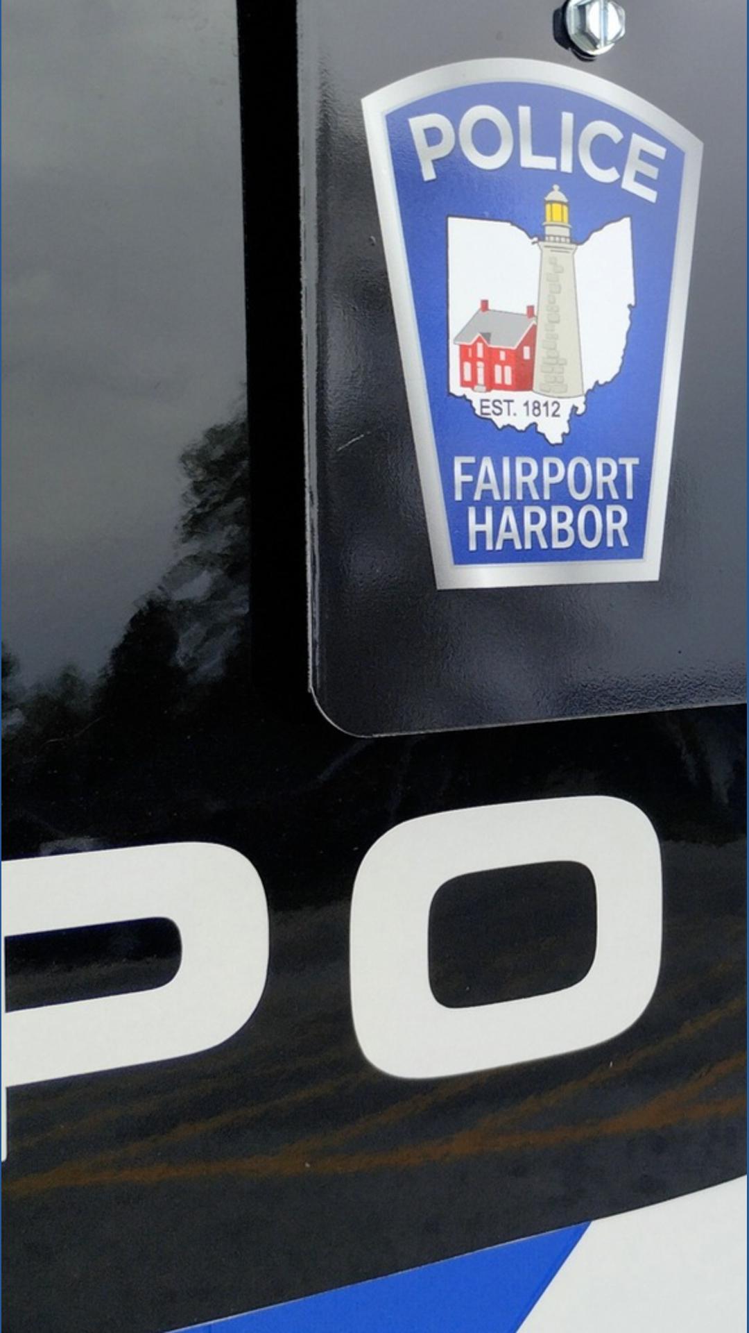Fairport Harbor assault: 2 students hurt after football game, man ...