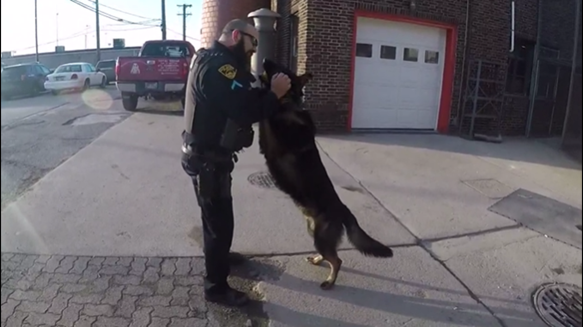 East Cleveland police's new K9 making big impact in a short time | wkyc.com