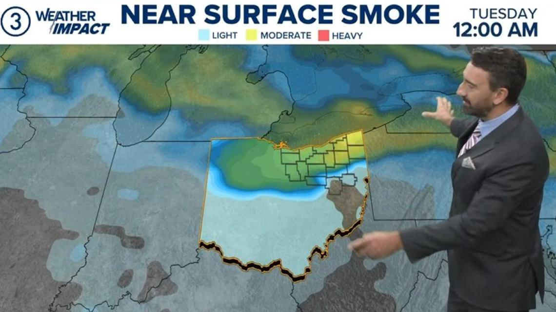VERIFY: How accurate are WebMD results? | wkyc.com