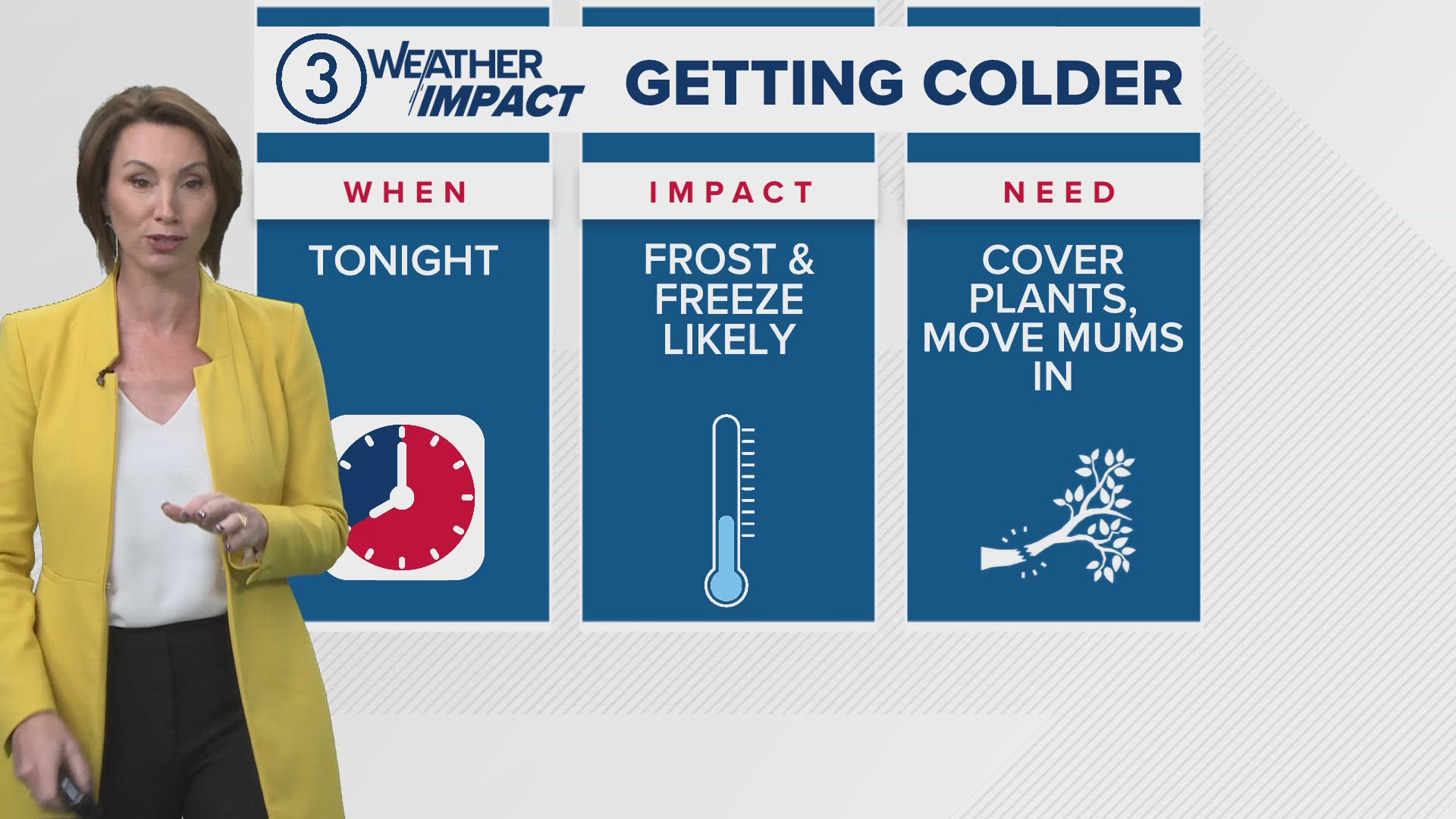 Cleveland Browns 2024 Muni Lot rules, parking/traffic information ...