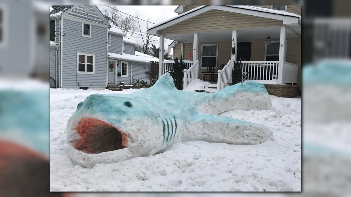 Skiing, sledding, snowmen, oh my! Enjoying the snow in Northeast Ohio ...