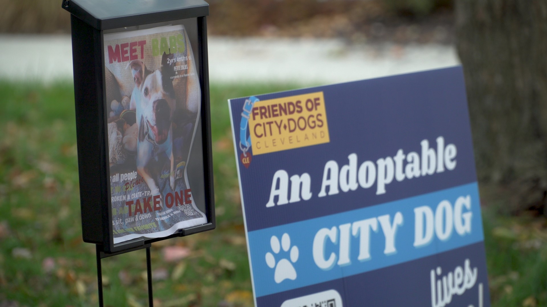 Ready Pet GO!: Yard signs for adoptable City Dogs | wkyc.com