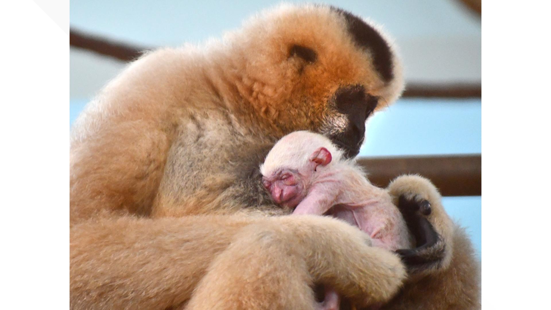 Women Who Lead: Progressive Insurance CEO Tricia Griffith | wkyc.com