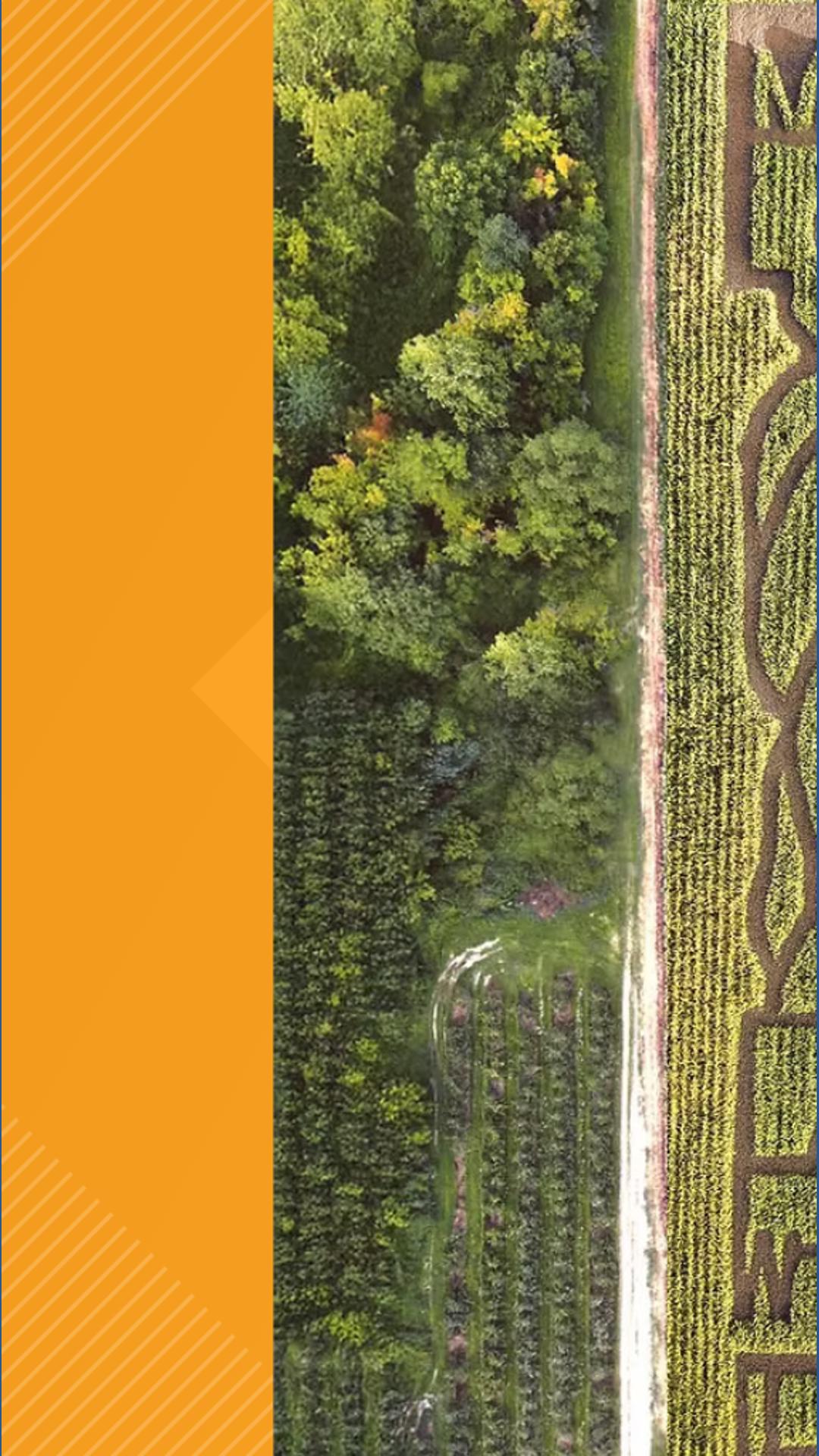 Lainey Wilson Corn Maze at Mapleside Farms in Brunswick | 2025 Fall ...