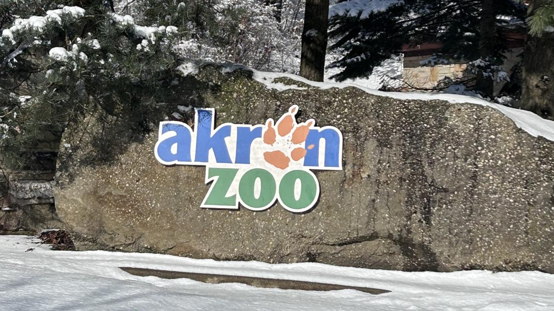 Akron Zoo pauses daytime operations Sunday amid snowy conditions, will ...