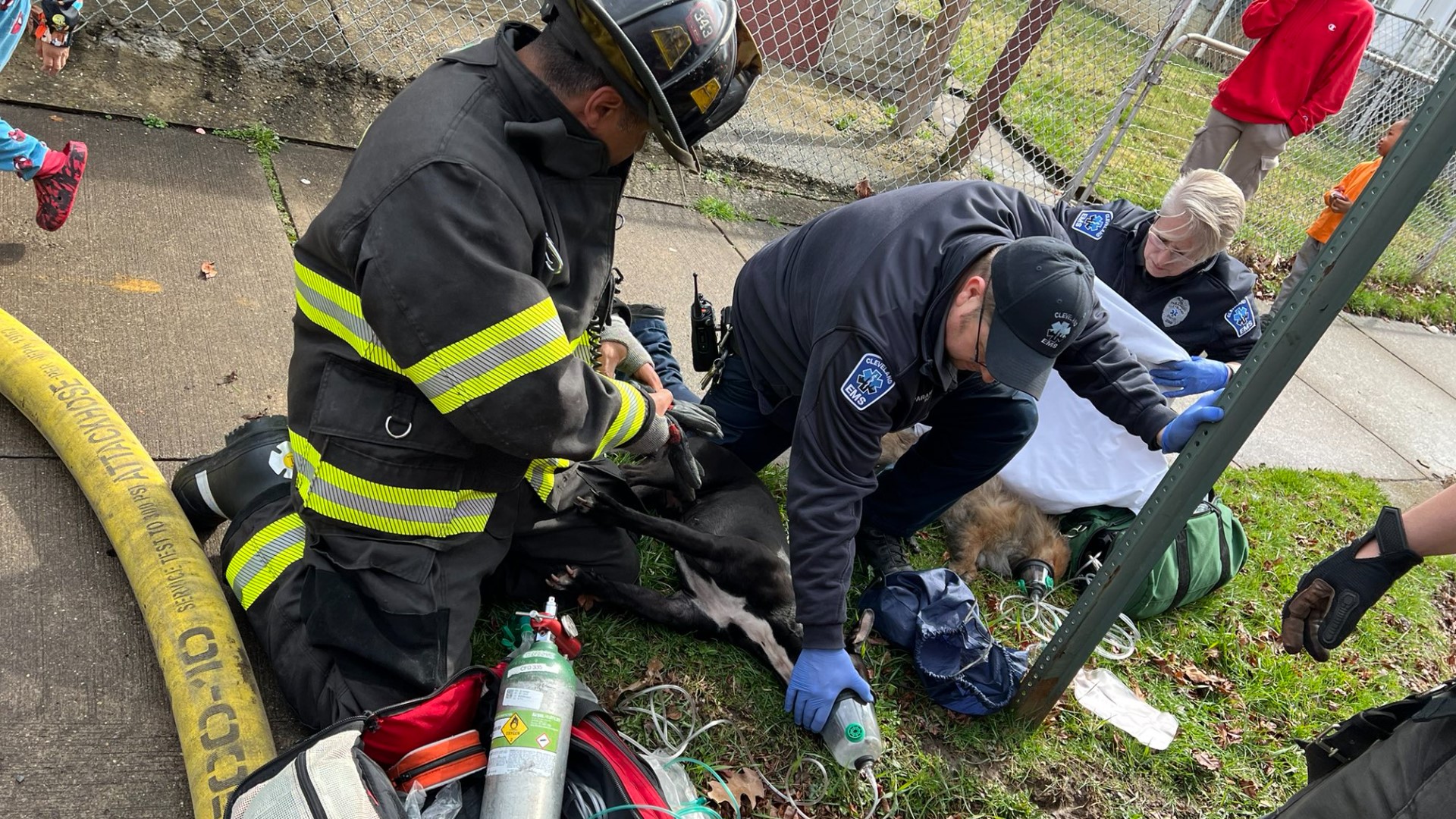 Dog revived following Cleveland house fire | wkyc.com