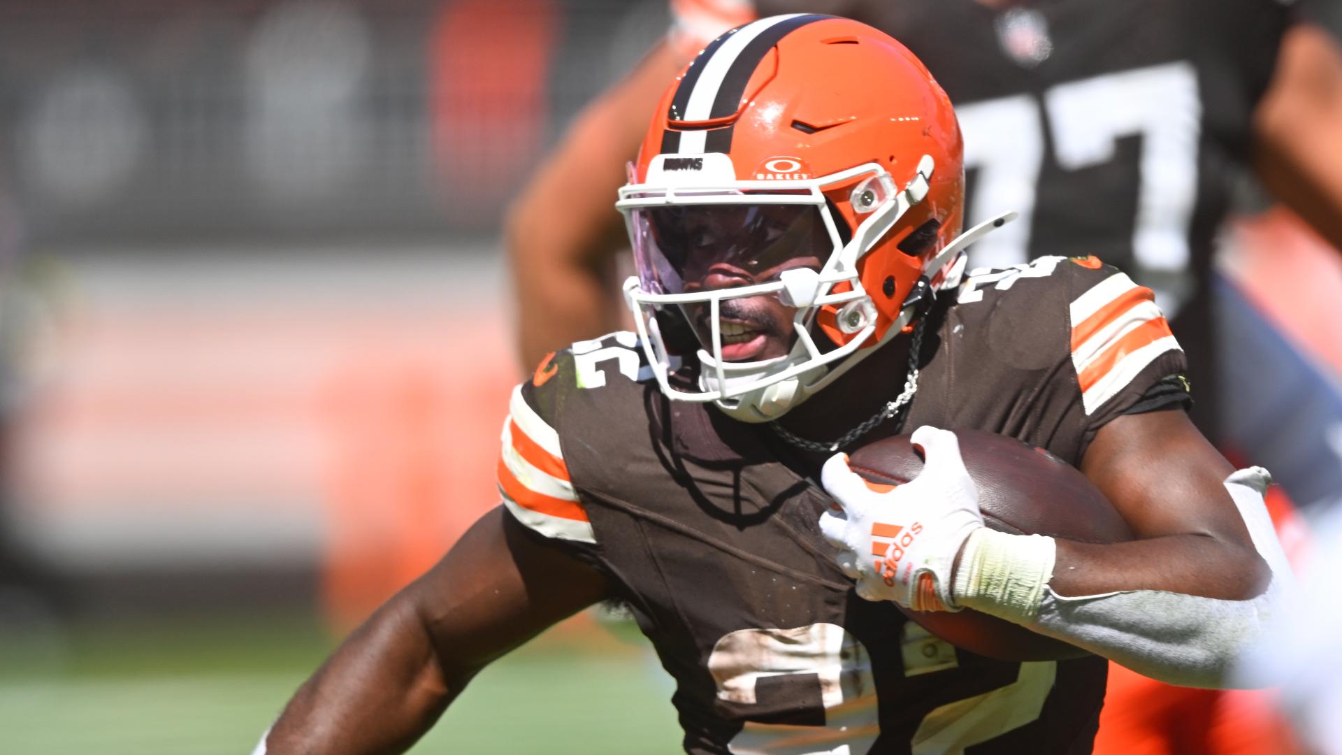 Friendship APL rescues 54 dogs from 'extremely unsanitary' conditions ...