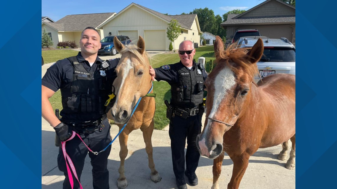 2 horses return home after North Ridgeville Police catch them | wkyc.com