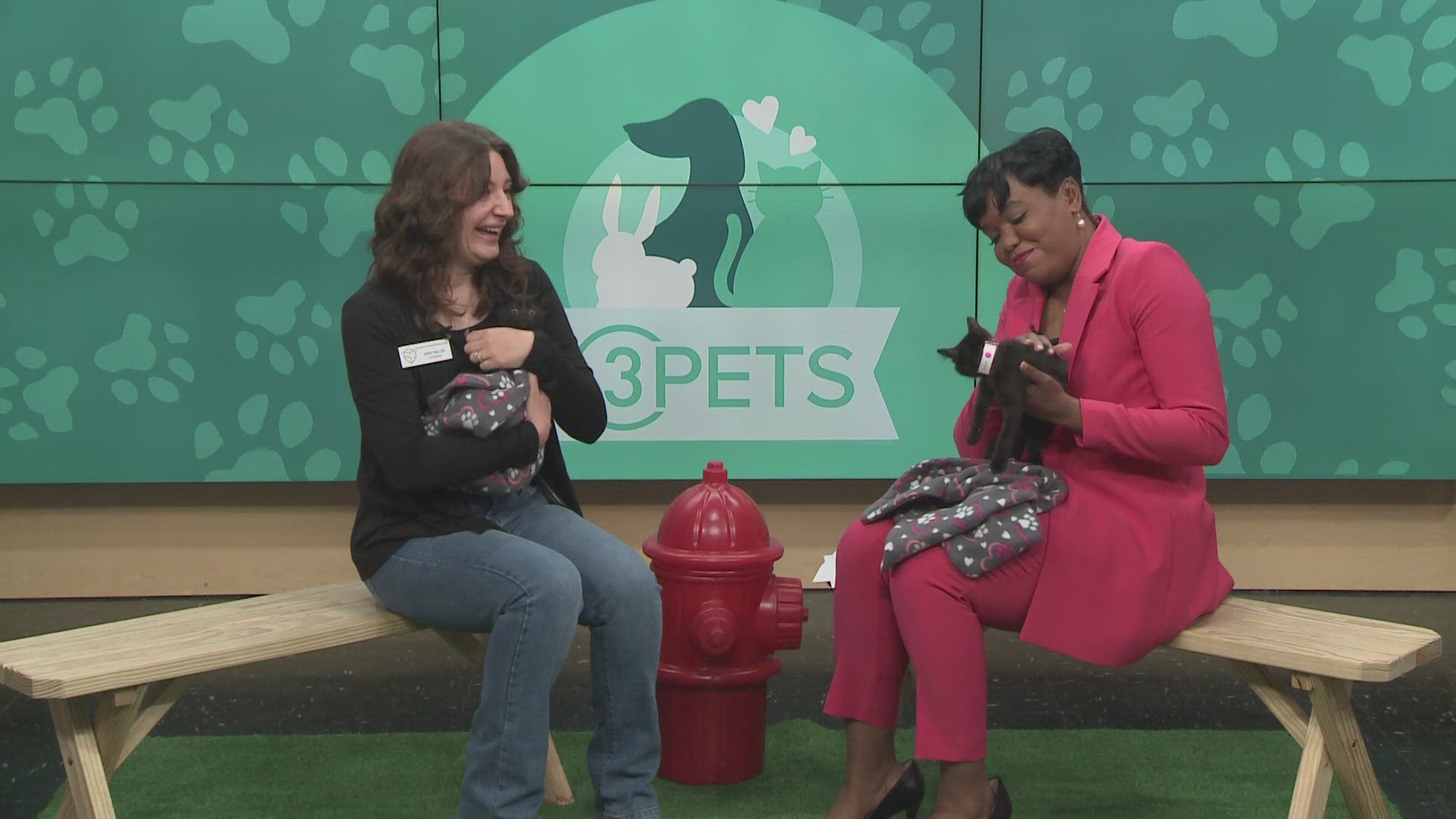 Ready Pet GO! Cleveland APL joins 3News GO! to talk upcoming Fur-Get-Me ...