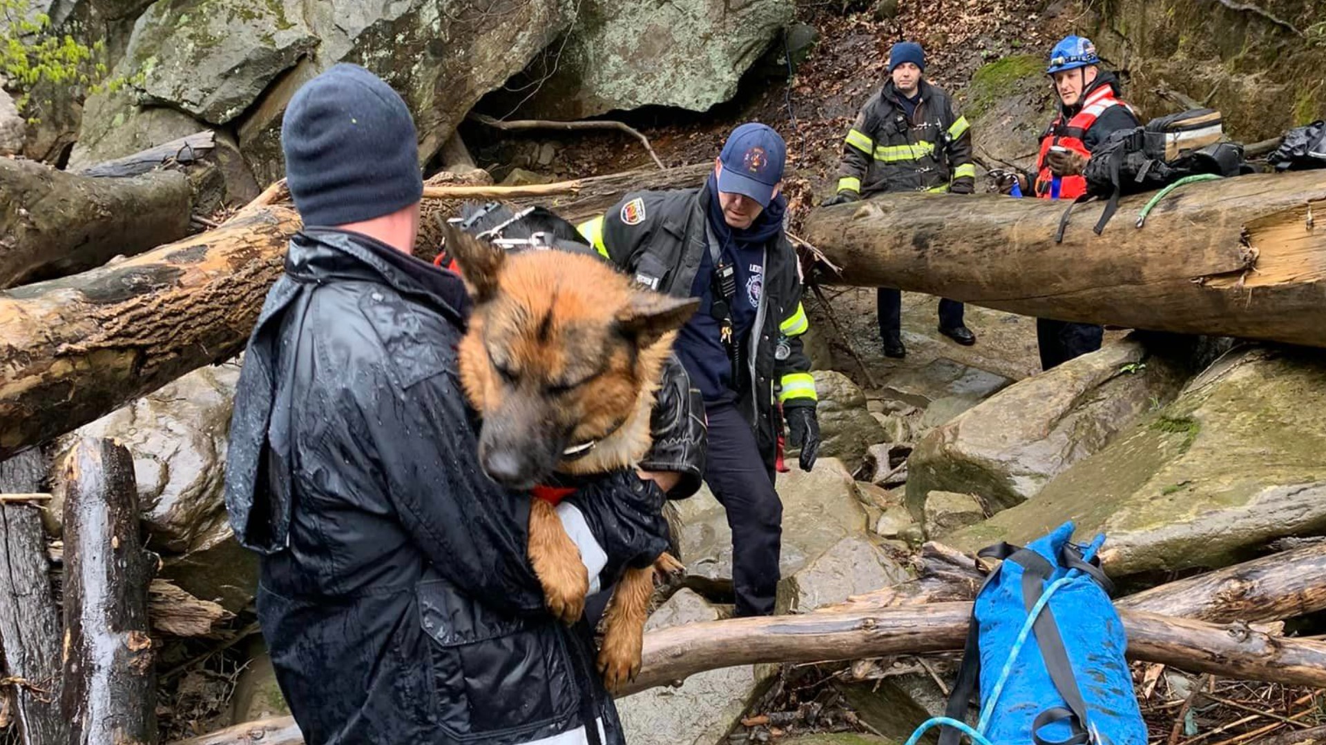 Dog reunited with family after rescue in Metroparks | wkyc.com
