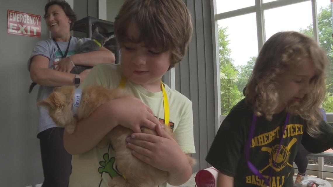 ‘Kitten Camp’ builds connection, comfort and healing for kids facing ...