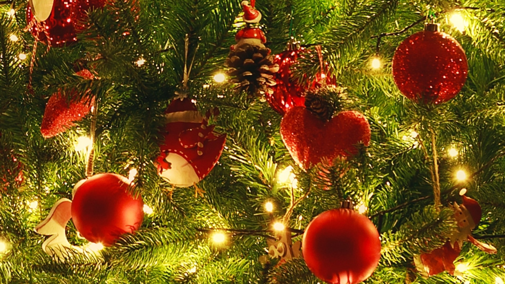 When is the Akron Holiday Tree Festival at John S. Knight Center ...