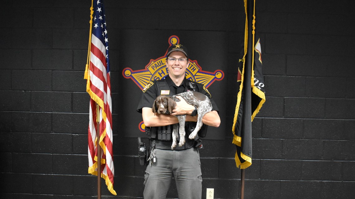 Erie County Sheriff's Office gets new K-9 officer | wkyc.com