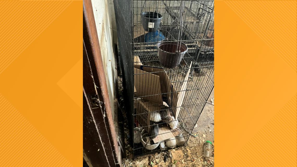 Canton couple charged with animal cruelty, possible human remains ...