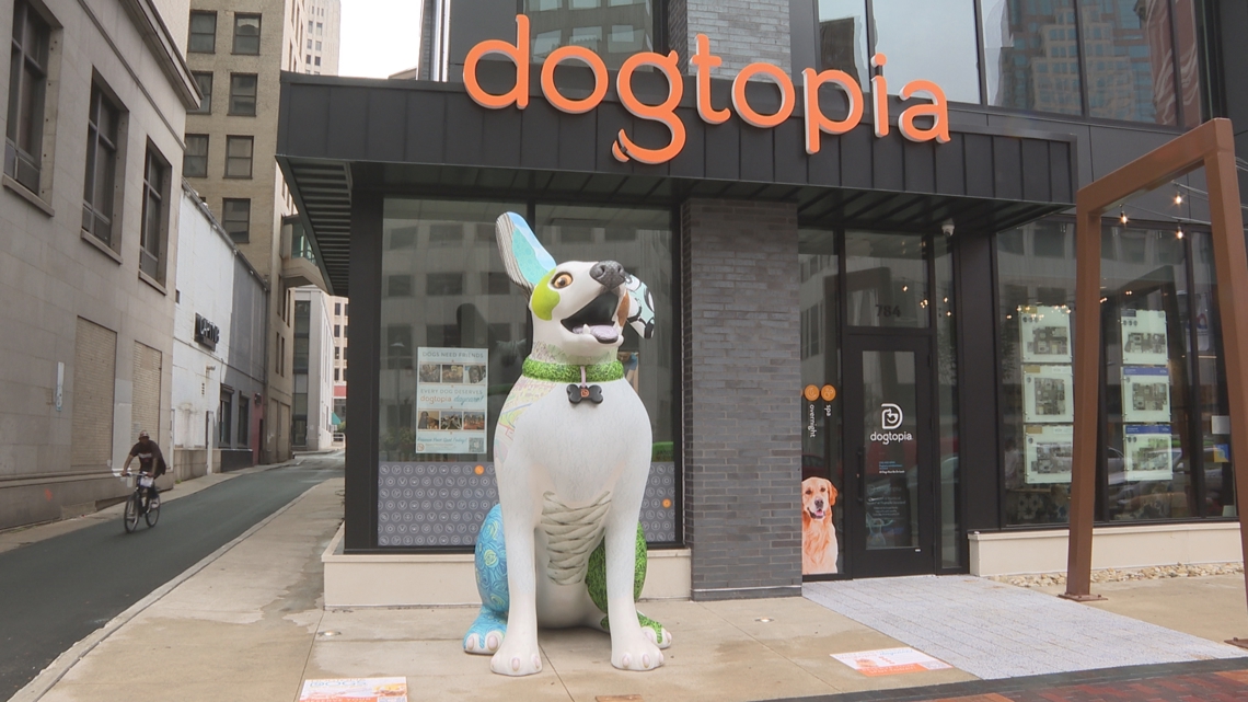Dogtopia doggy daycare opening in downtown Cleveland | wkyc.com