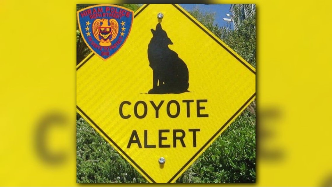 Hiram Police issue coyote alert | wkyc.com