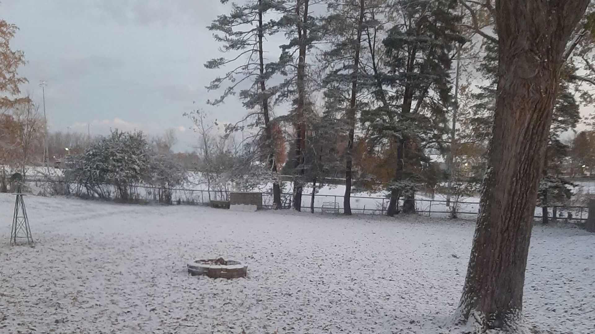 Photos: Northeast Ohio sees first snowfall of season | wkyc.com