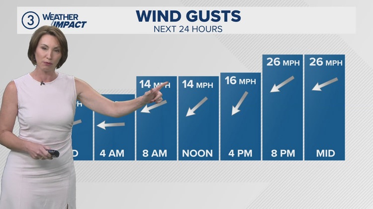 Jason Halasz Jr. sentenced for attempted murder in Maple Heights | wkyc.com