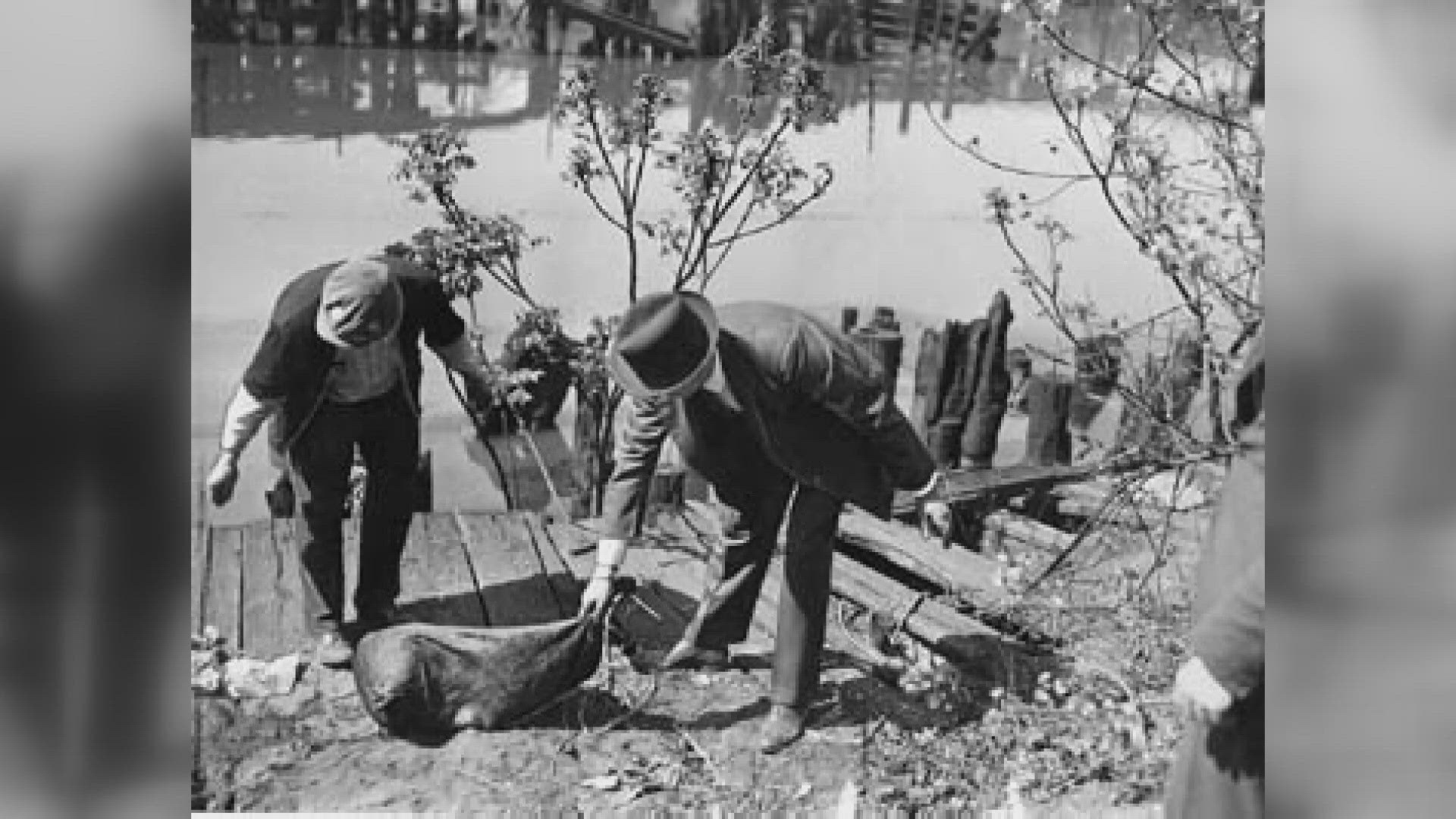 Movie about Cleveland Torso Murders: Filming approved for inside City ...