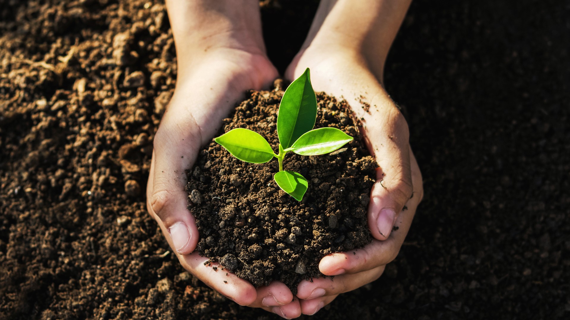 Environment News | wkyc.com