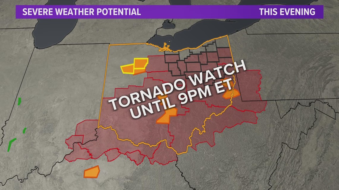 Parole denied for Martin and Owen Kilbane, forever linked to murderous ...