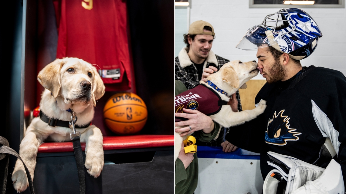 Cleveland Cavaliers sign NBA's first team service dog in training ...