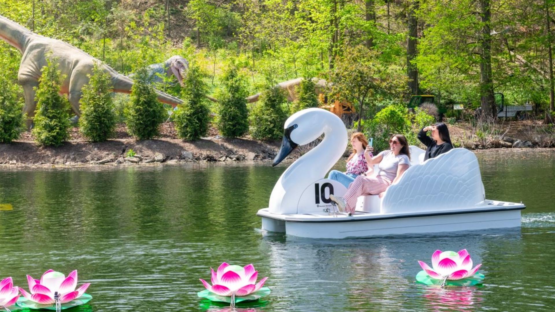 Dino Cove dinosaur experience at Cleveland Metroparks Zoo | wkyc.com