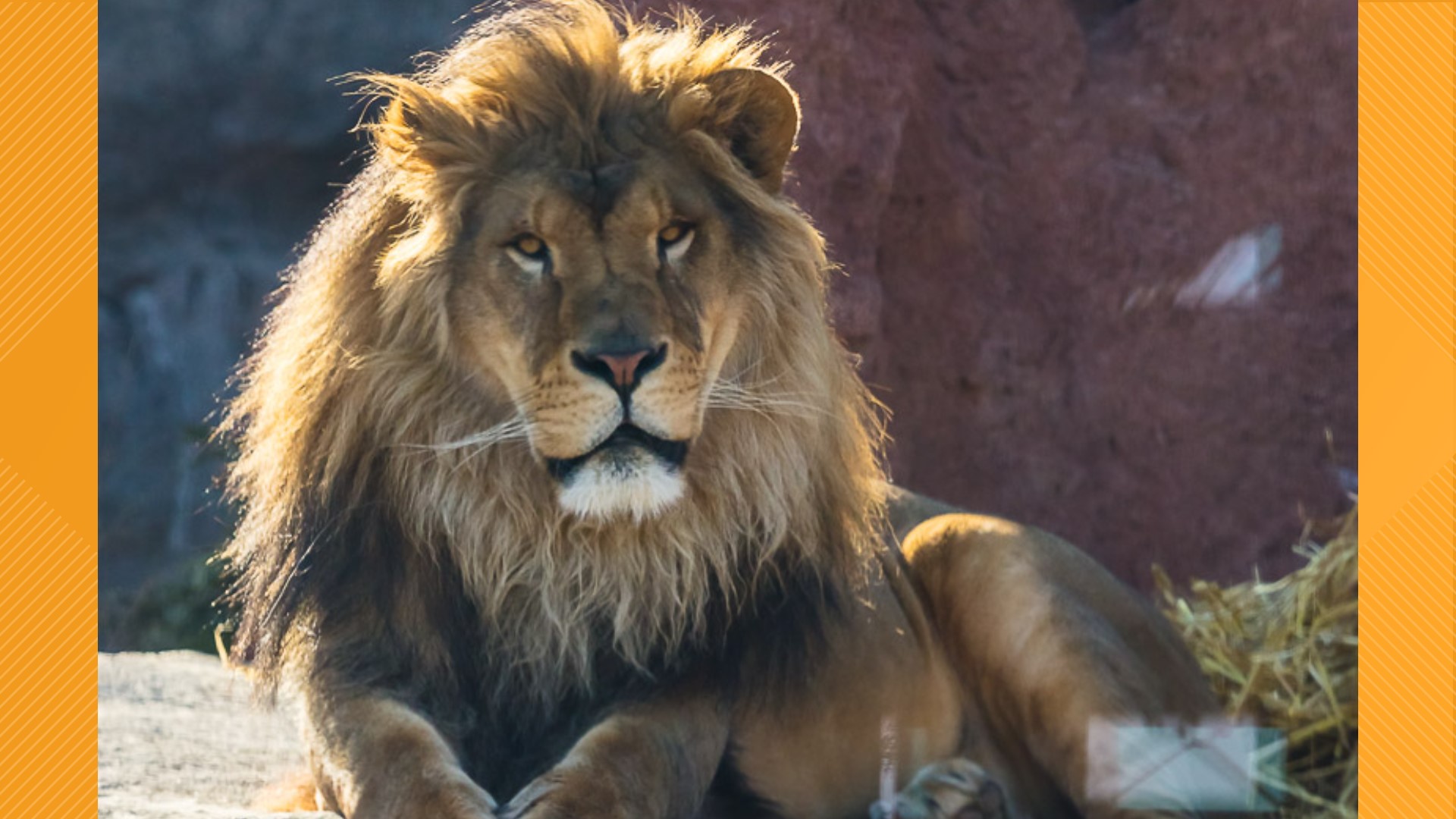 Akron Zoo closed Friday, February 4 due to winter weather | wkyc.com