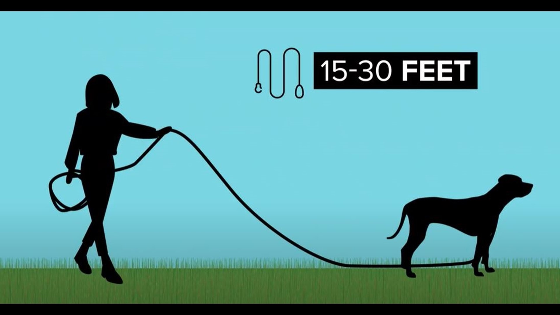 Why a sniffari decompression walk is important for your dogs | wkyc.com