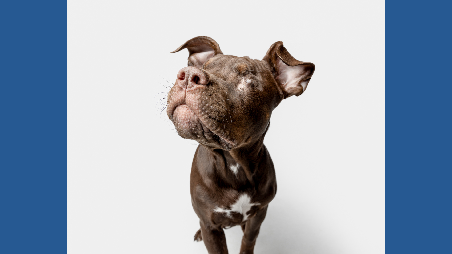 New calendar from photographer Greg Murray to celebrate 'Perfectly ...