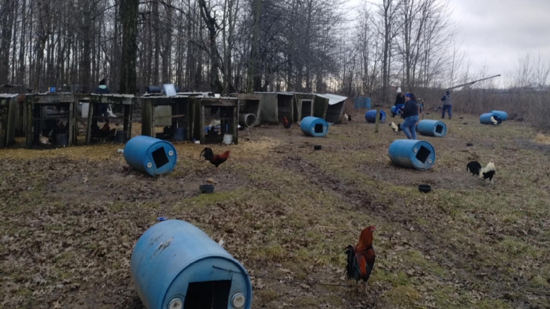 Who is new Cleveland Police Chief Dorothy Todd? | wkyc.com