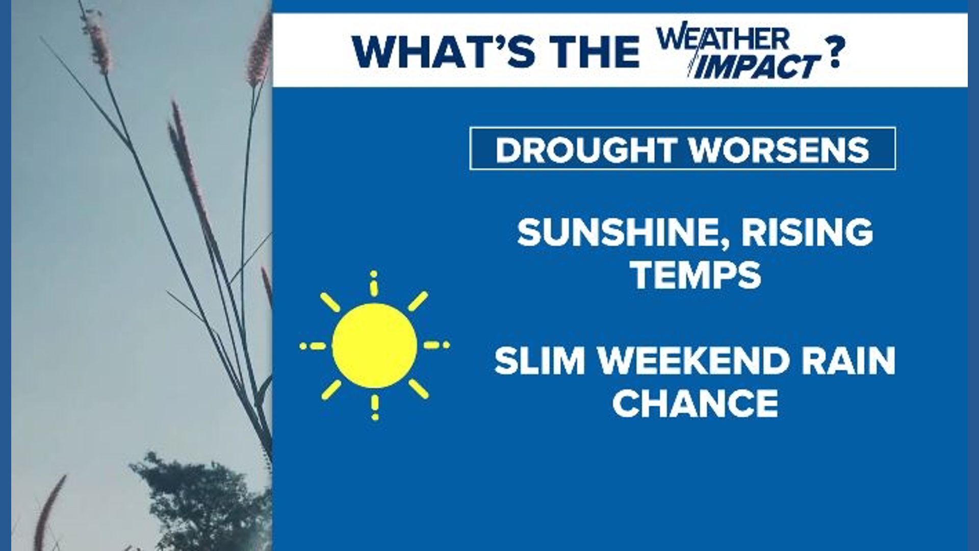 Tirrell Edwards sentenced for Amanda Williams murder: Video | wkyc.com