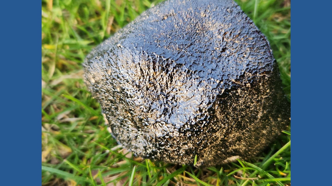 Cleveland area contractor finds big meteorite: 'I knew where to go from ...