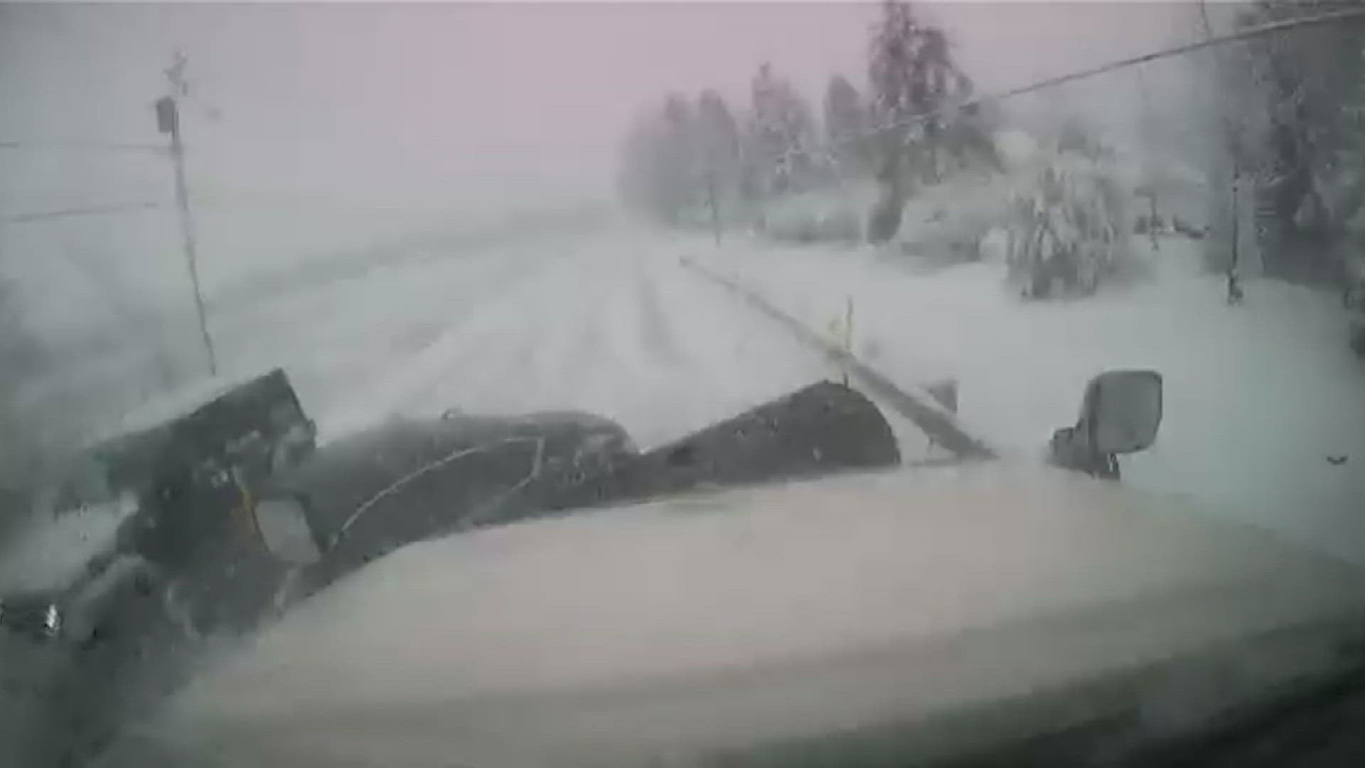 Cleveland Metroparks Zoo holds Primate Forest groundbreaking | wkyc.com