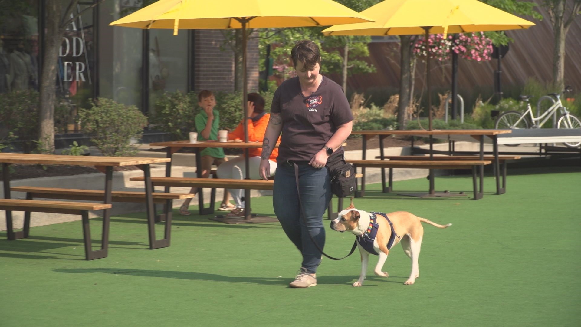 How to train your pet for a dog-friendly patio | wkyc.com