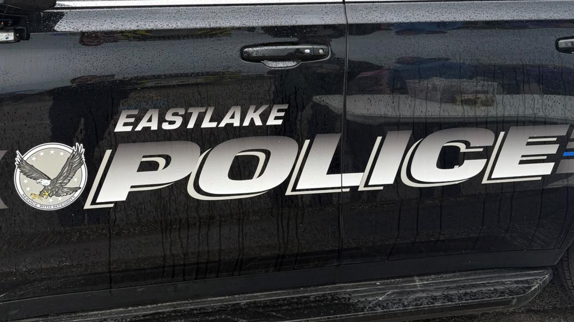 3-year-old child dies after suffering gunshot wound, Eastlake police ...
