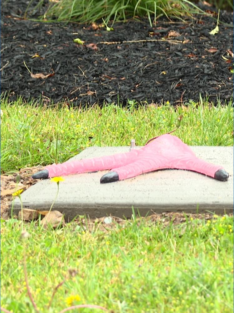 2 plead guilty, sentenced for stealing Parma pink flamingo statue ...
